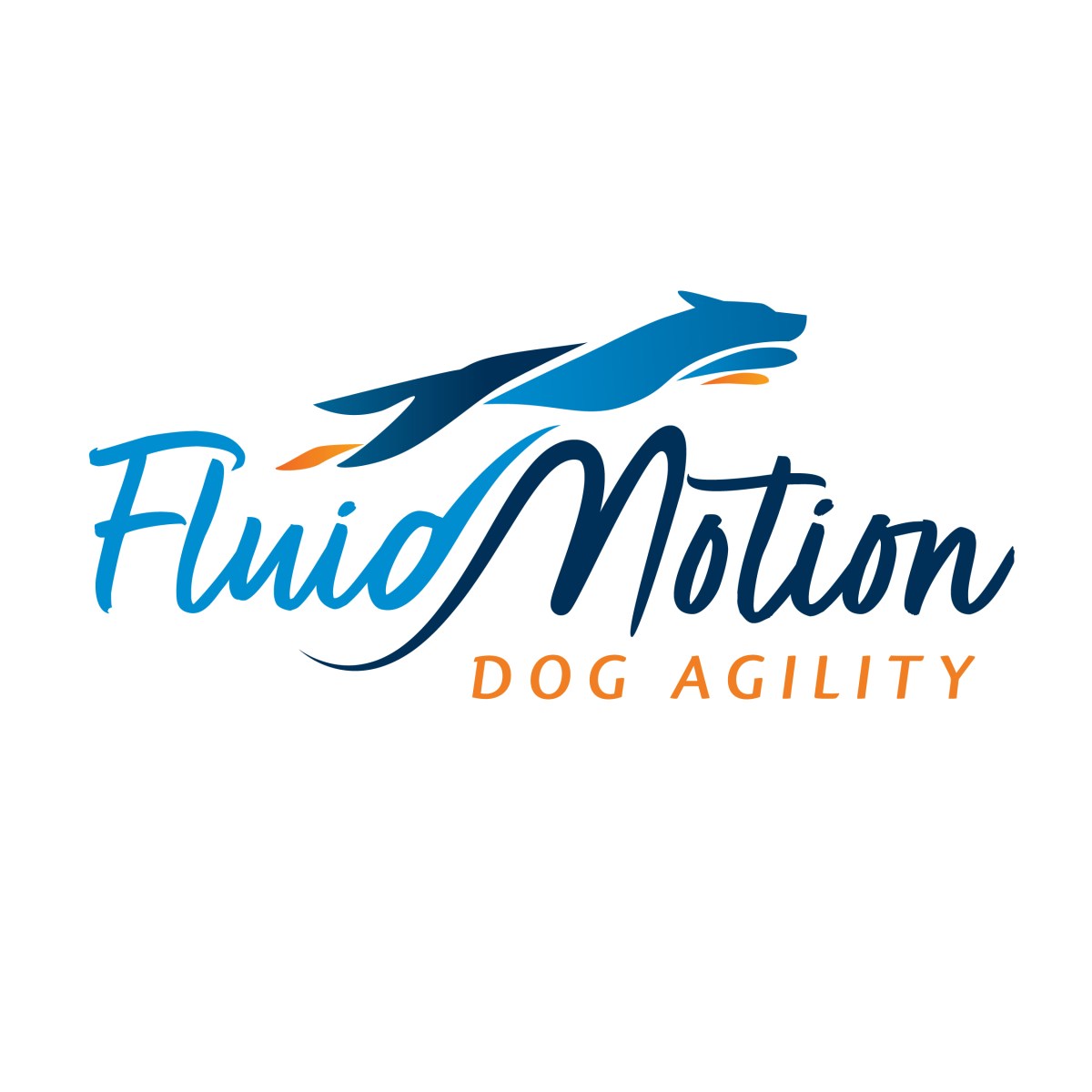 Fluid Motion Agility – Connected with Confidence