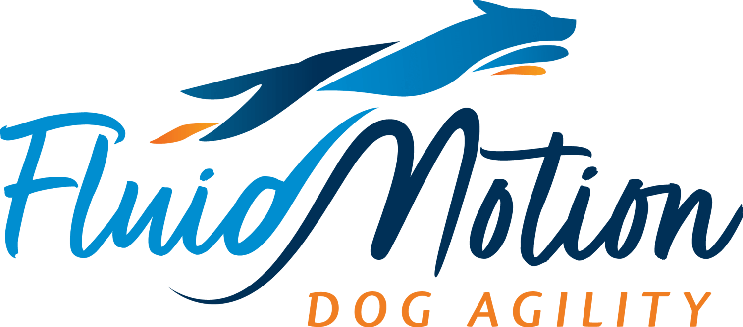 Fluid Motion Agility – Connected with Confidence